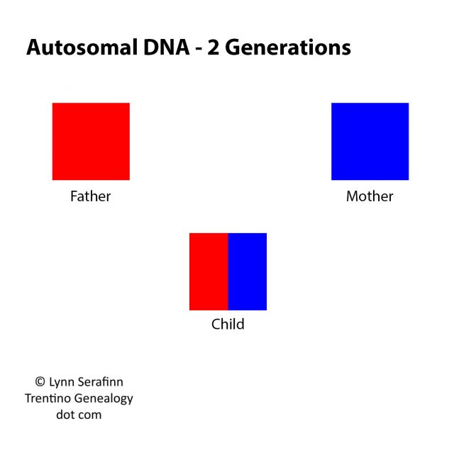 DNA Tests, Genealogy, Ethnicity and Cultural Identity